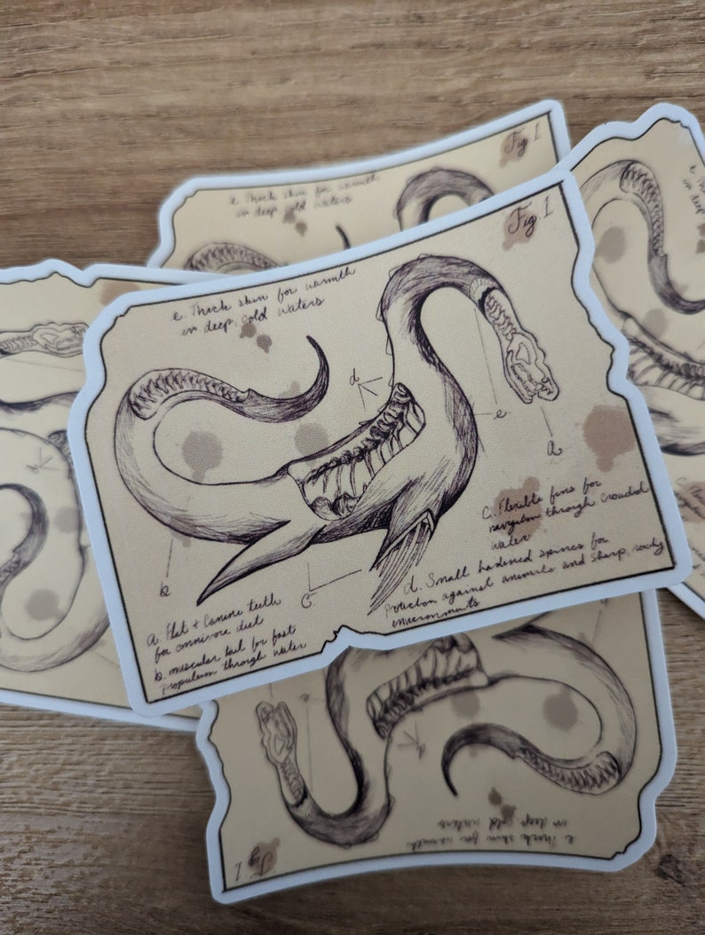 Nessie Cryptid Vinyl Sticker Loch Ness Monster Anatomy - Etsy