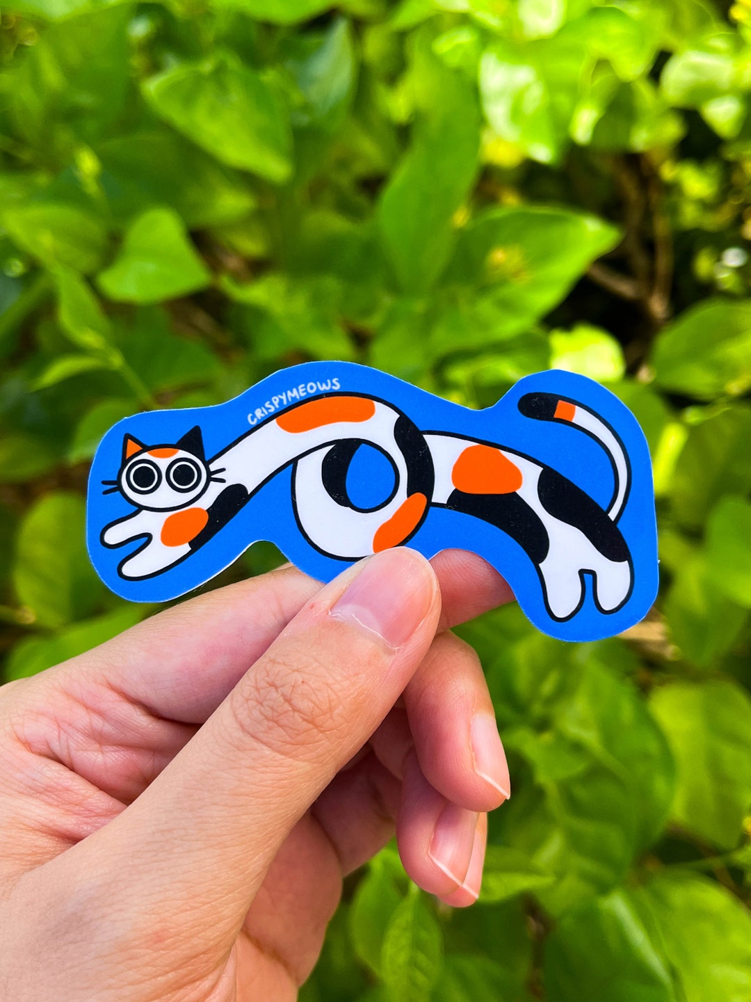 Long Noodle Cat • Cute Calico Cats • Cat Lover Gift • Long Boy • Cat ...