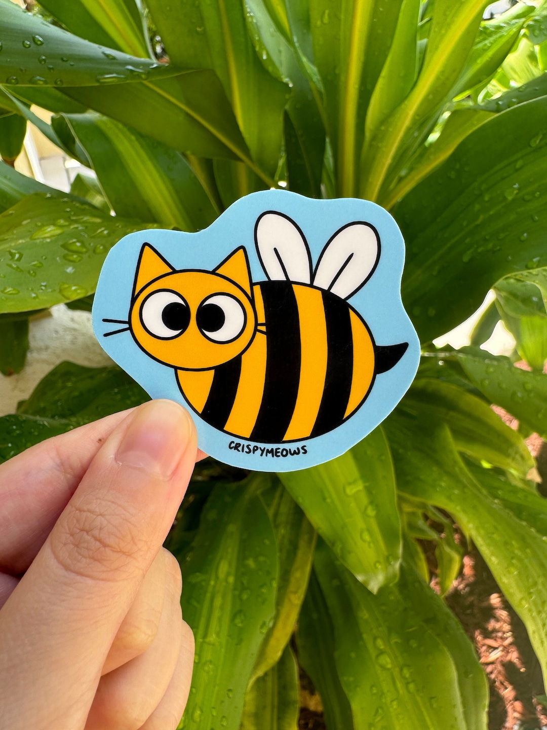 Cat Bee Sticker, Adorable Laptop Decal, Summertime Stickers, Cute Water ...