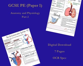 GCSE PE Revision Notes - Section 1: the Human Body - Etsy