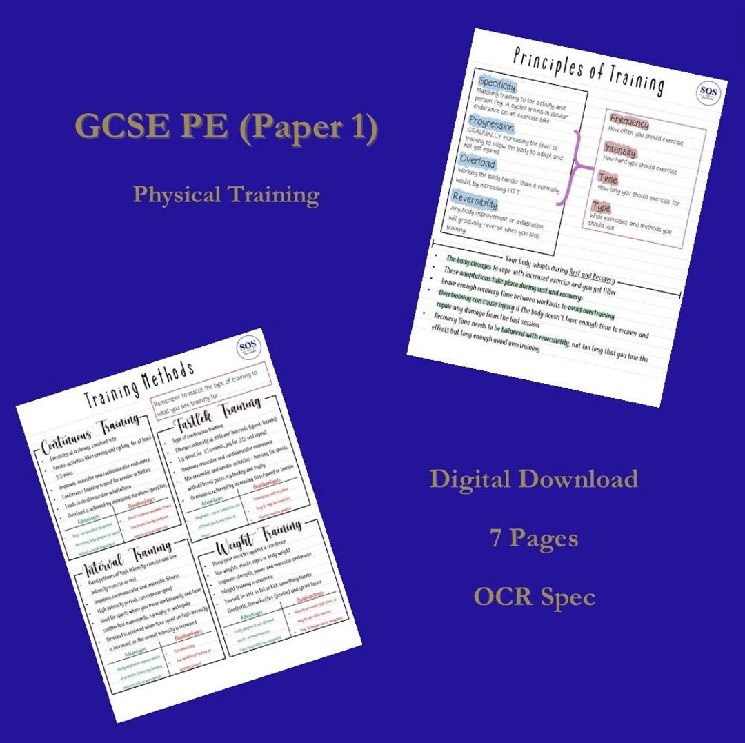 GCSE PE Notes (paper 1) - Etsy UK
