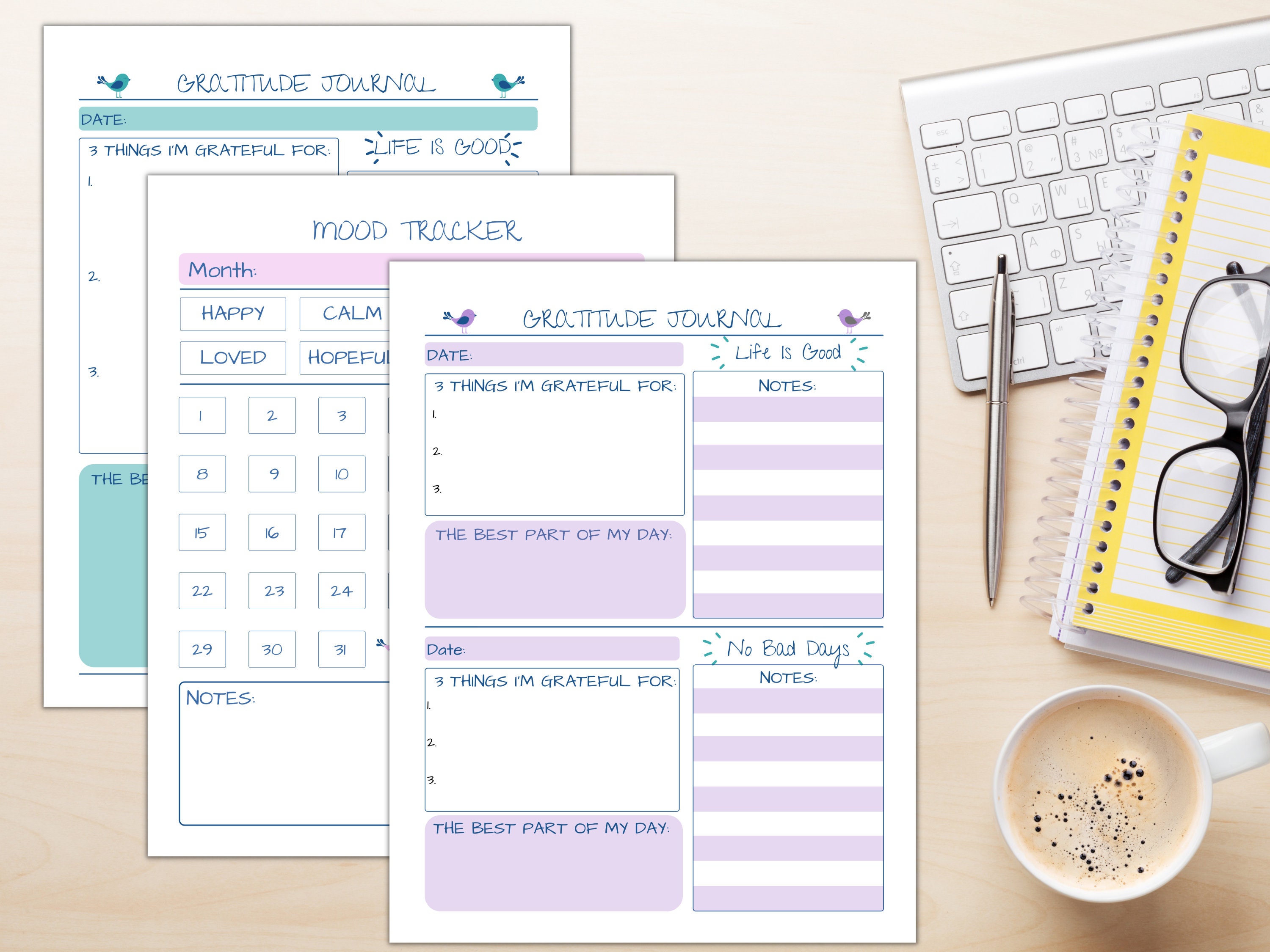 Calendars & Planners Paper & Party Supplies Daily Gratitude Planner ...