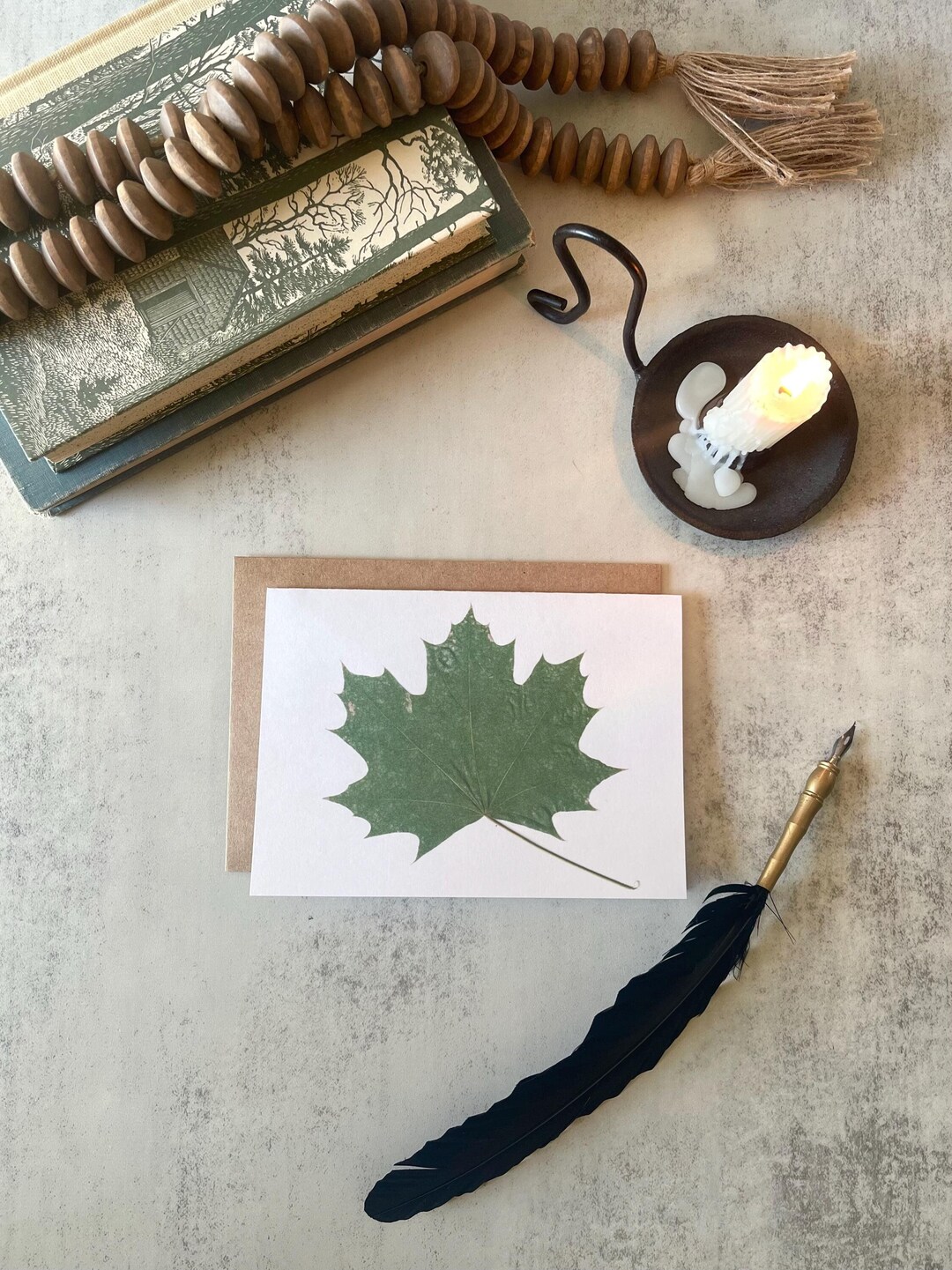 Pressed Norway Maple Leaf Greeting Card - Green (single or Set of 5 ...
