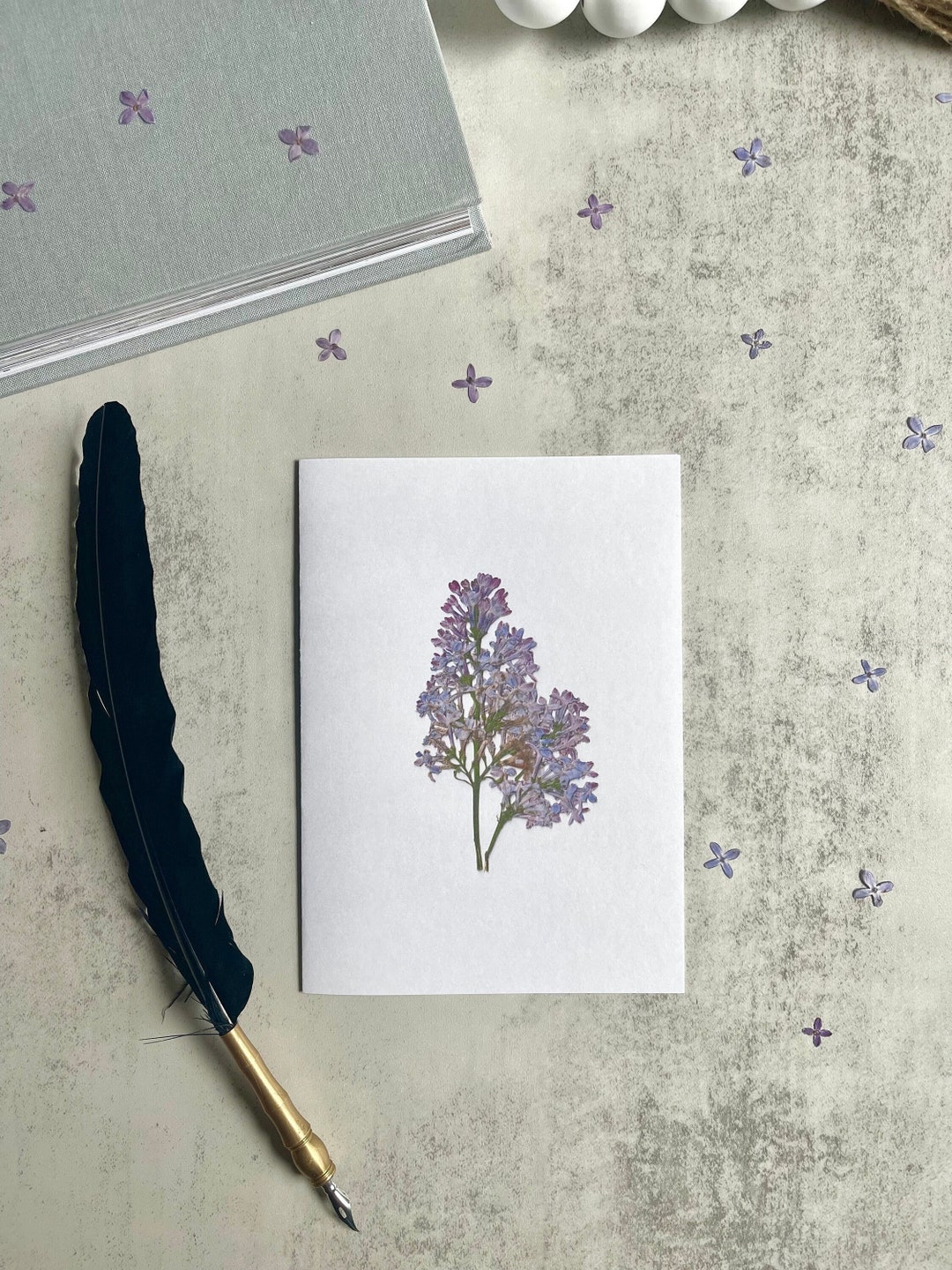 Fresh Picked Lilac Greeting Card (single or Set of 5 Card + Envelopes ...