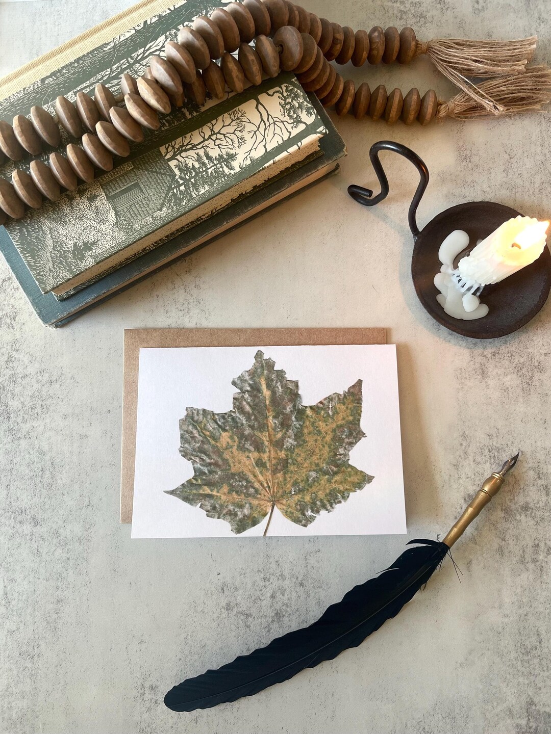 Pressed Norway Maple Leaf Greeting Card - Multi-colored (single or Set ...