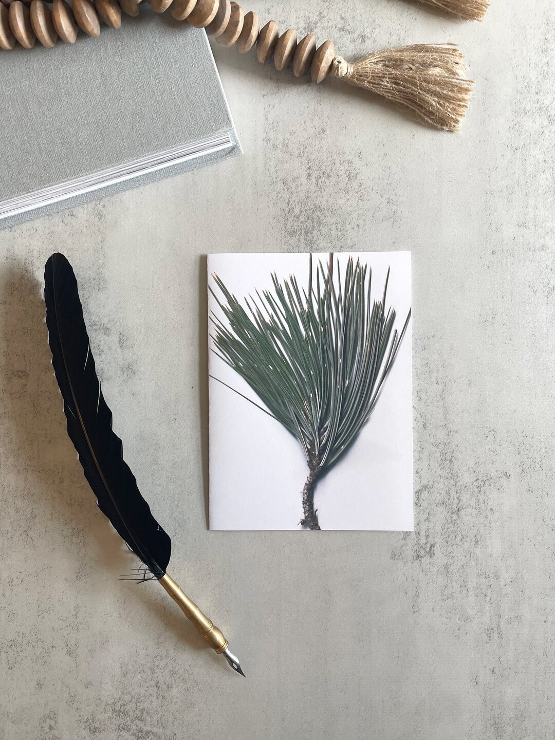 Penny Lane Pine Greeting Card single or Set of 5 Envelopes Pine, Pine ...