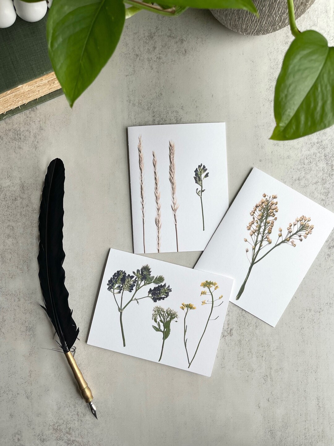 Pressed Flower Stationery Set (15 Cards + Envelopes) | Wildflowers ...