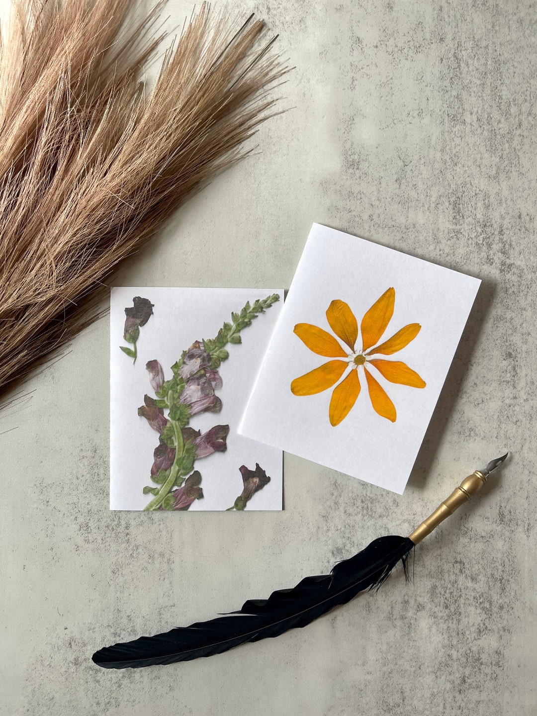 Pressed Snapdragon & Chamomile Stationery Set (20 Cards + Envelopes ...