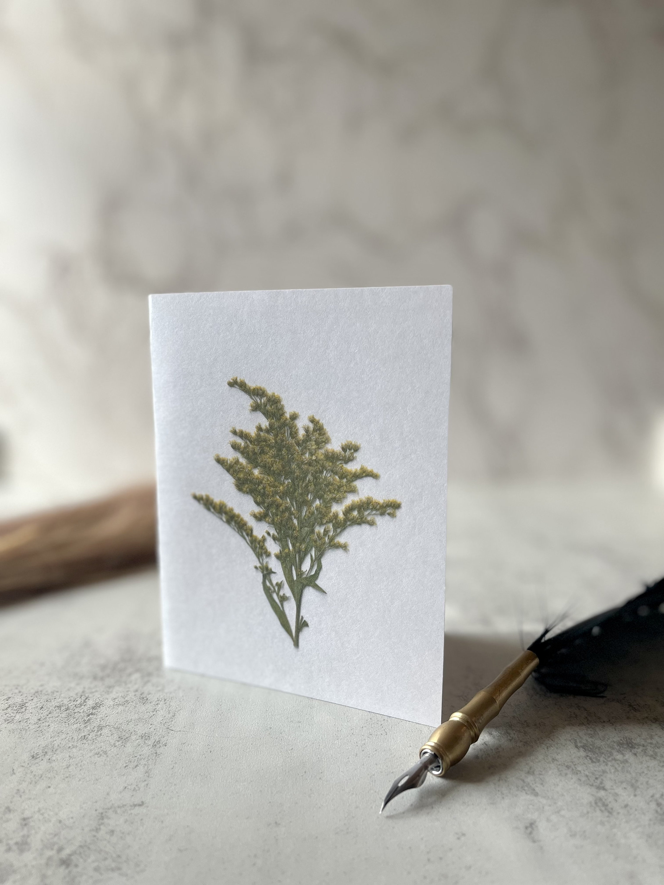 Pressed Goldenrod Stationery Set 20 Cards Envelopes Goldenrod, Pressed ...