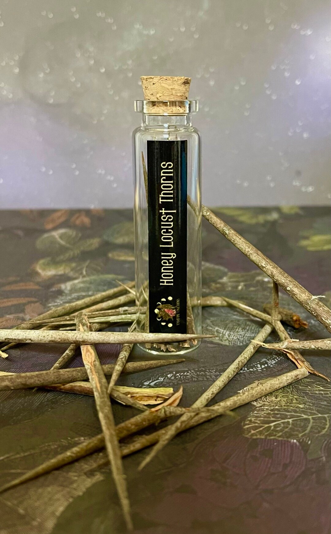 Honey Locust Thorns / Witch’s Apothecary / Powerful Protection / Beauty ...