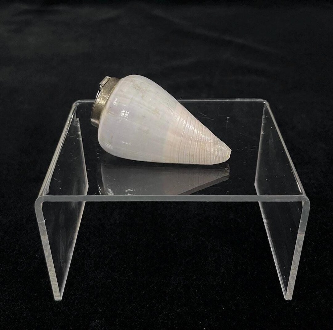 Vintage/antique French 19th Century Shell Snuff/trinket Box - Etsy