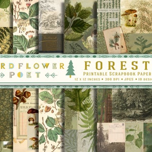 Forest Printable Scrapbook Paper With Leaves Ferns Trees - Etsy