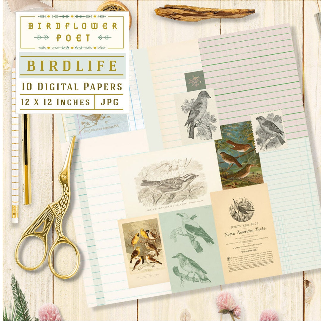 Birdlife Printable Scrapbook Papers With Vintage Bird Art, Birds ...