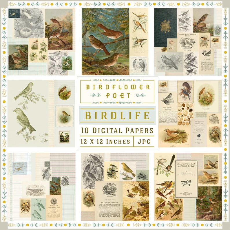 Birdlife Printable Scrapbook Papers With Vintage Bird Art, Birds ...