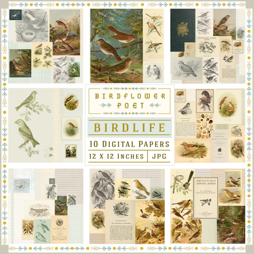 Birdlife Printable Scrapbook Papers With Vintage Bird Art, Birds ...