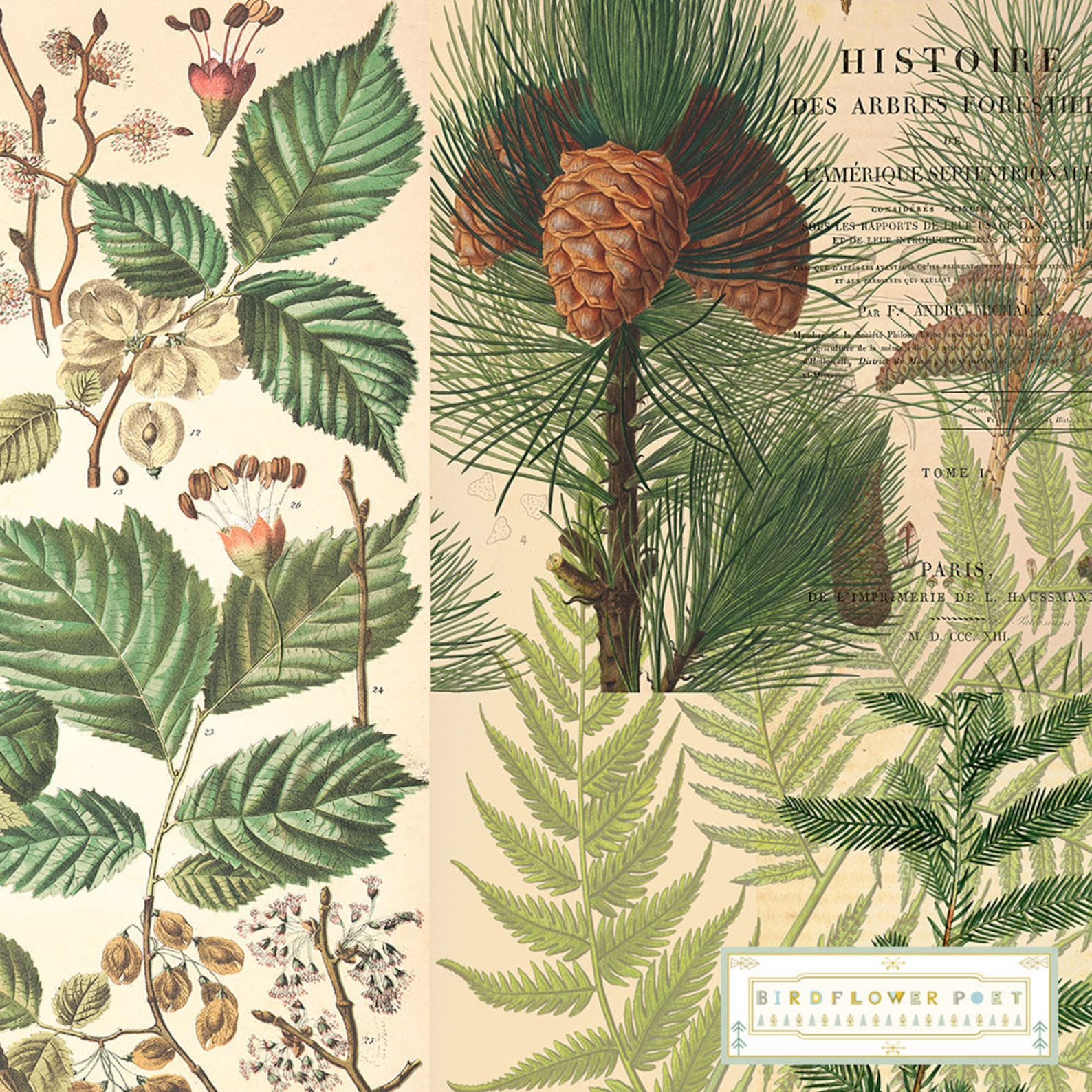 Forest Printable Scrapbook Paper With Leaves Ferns Trees - Etsy