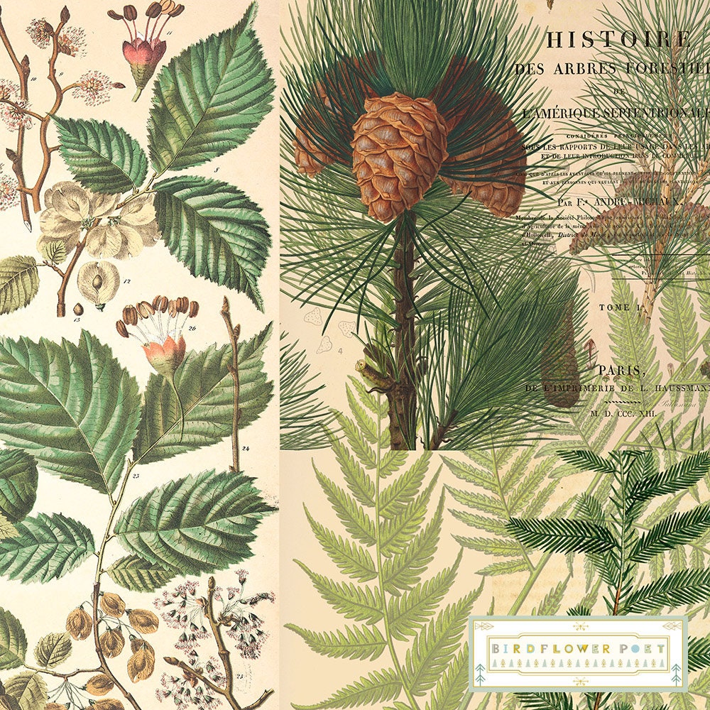 Forest Printable Scrapbook Paper With Leaves Ferns Trees - Etsy