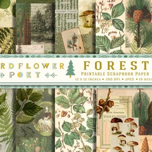 Forest Printable Scrapbook Paper With Leaves Ferns Trees - Etsy