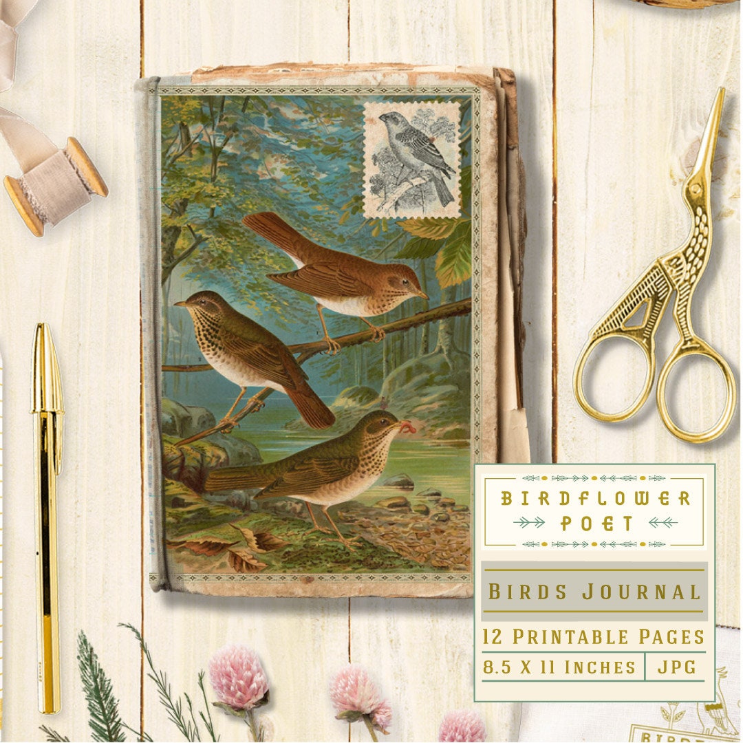 Birds Junk Journal Kit With Printable Letter Size Pages, Ephemera, Bird ...