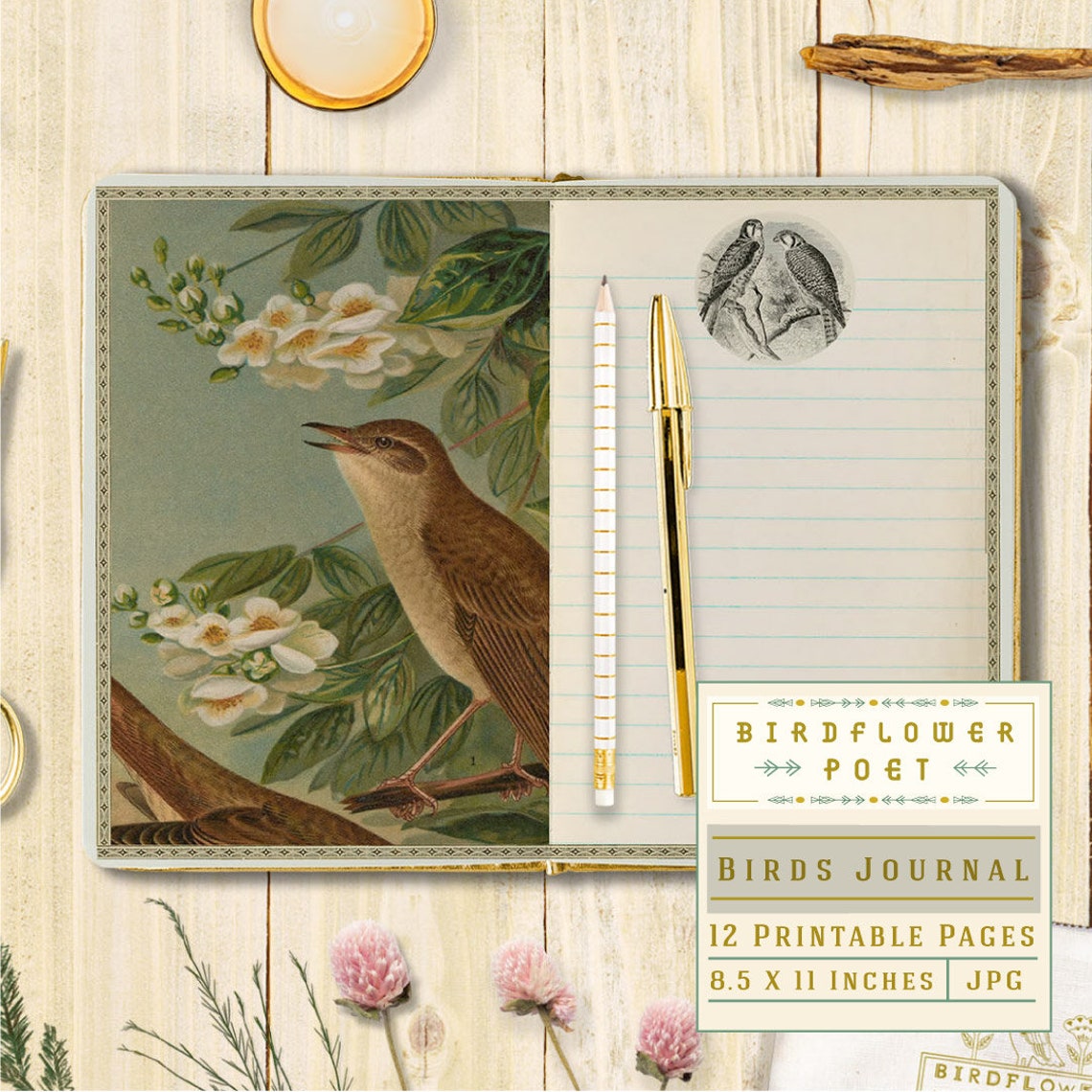 Birds Junk Journal Kit With Printable Letter Size Pages, Ephemera, Bird ...