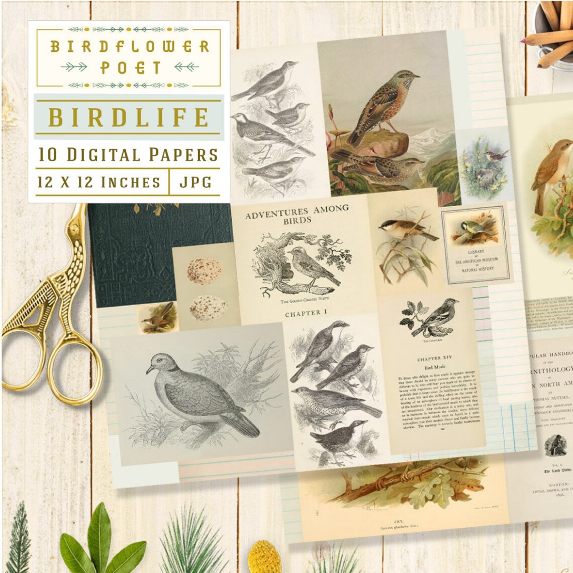 Birdlife Printable Scrapbook Papers With Vintage Bird Art, Birds ...