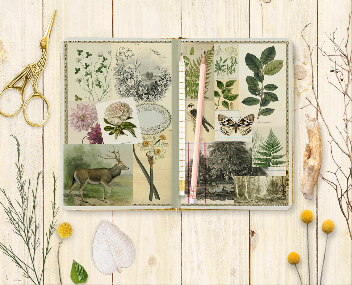 Forest Journal Kit Printable Junk Journal With Woodland - Etsy