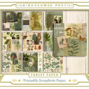 Forest Printable Scrapbook Paper With Leaves Ferns Trees - Etsy