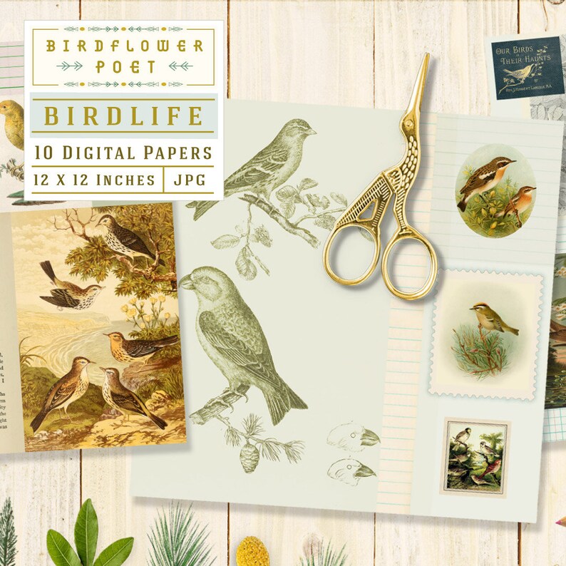 Birdlife Printable Scrapbook Papers With Vintage Bird Art, Birds ...