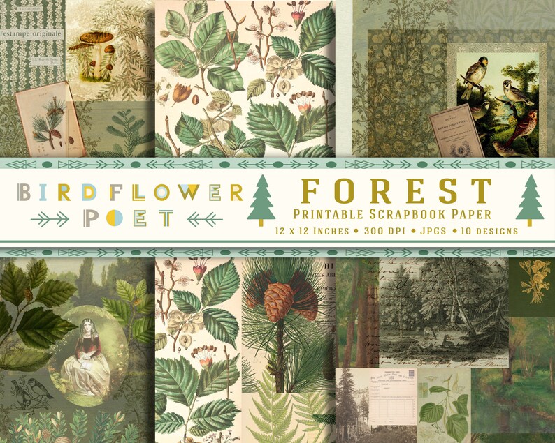 Forest Printable Scrapbook Paper With Leaves Ferns Trees - Etsy