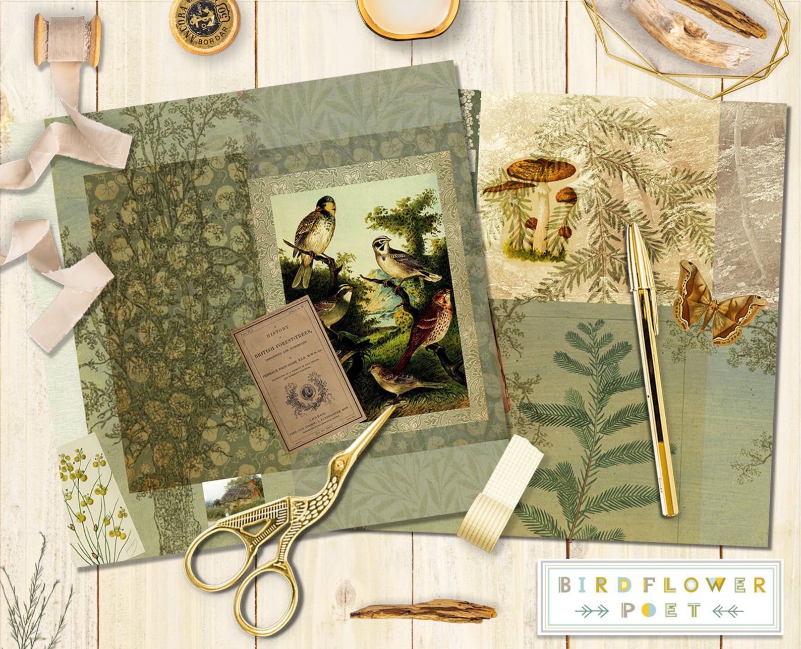 Forest Printable Scrapbook Paper With Leaves Ferns Trees - Etsy