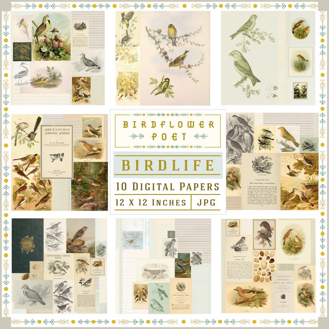Birdlife Printable Scrapbook Papers With Vintage Bird Art, Birds ...
