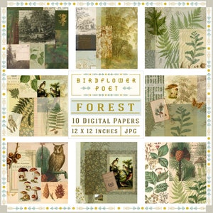 Forest Printable Scrapbook Paper With Leaves, Ferns, Trees, Mushrooms ...