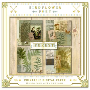 Forest Printable Scrapbook Paper With Leaves Ferns Trees - Etsy