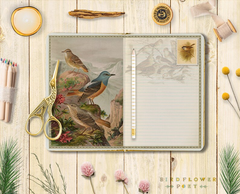 Birds Junk Journal Kit With Printable Letter Size Pages - Etsy