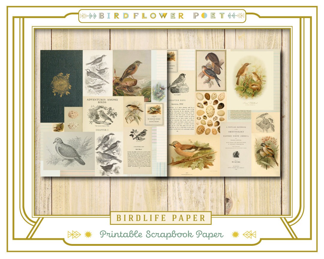 Birdlife Printable Scrapbook Papers With Vintage Bird Art - Etsy