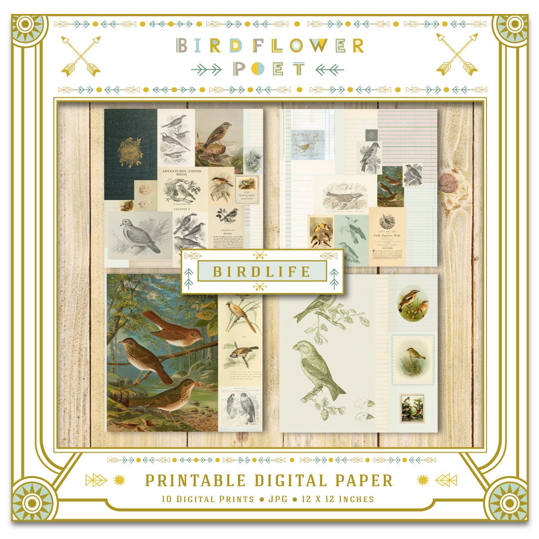 Birdlife Printable Scrapbook Papers With Vintage Bird Art, Birds ...