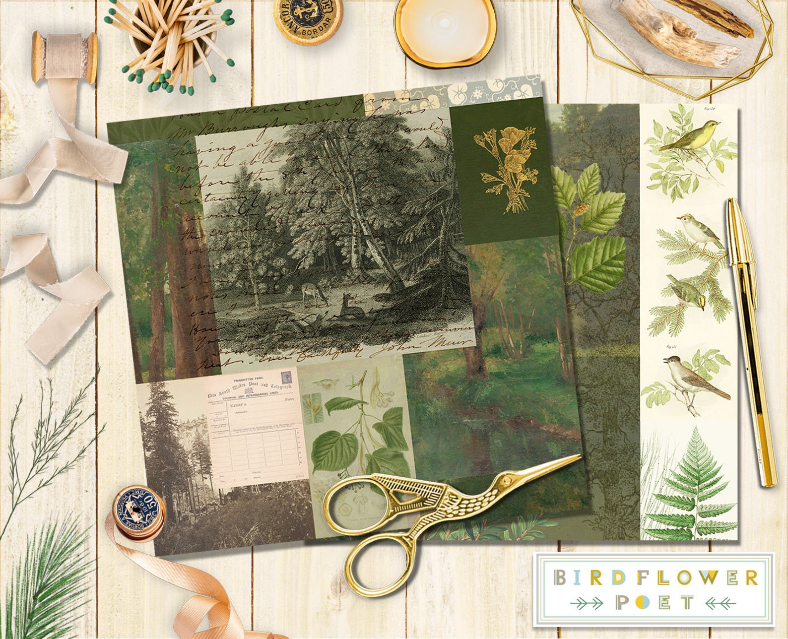 Forest Printable Scrapbook Paper With Leaves Ferns Trees - Etsy
