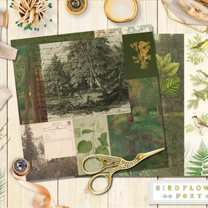 Forest Printable Scrapbook Paper With Leaves Ferns Trees - Etsy