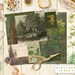 Forest Printable Scrapbook Paper With Leaves Ferns Trees - Etsy