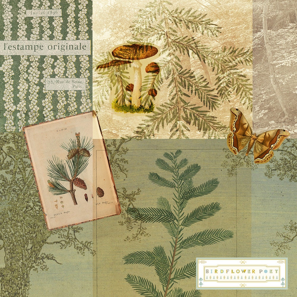 Forest Printable Scrapbook Paper With Leaves Ferns Trees - Etsy