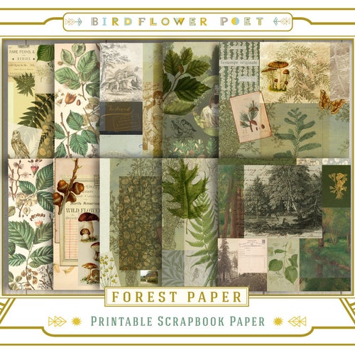 Forest Printable Scrapbook Paper With Leaves Ferns Trees - Etsy