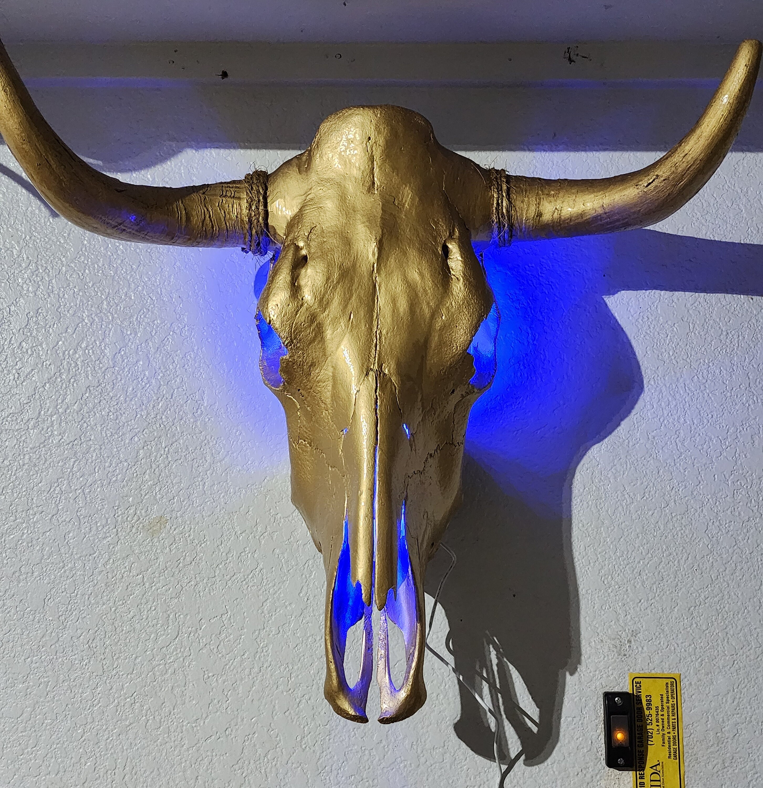 Real Cow Head With Real Horns in Gold Color With LED Lighting and ...