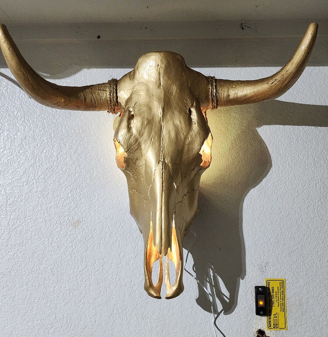 Real Cow Head With Real Horns in Gold Color With LED Lighting and ...