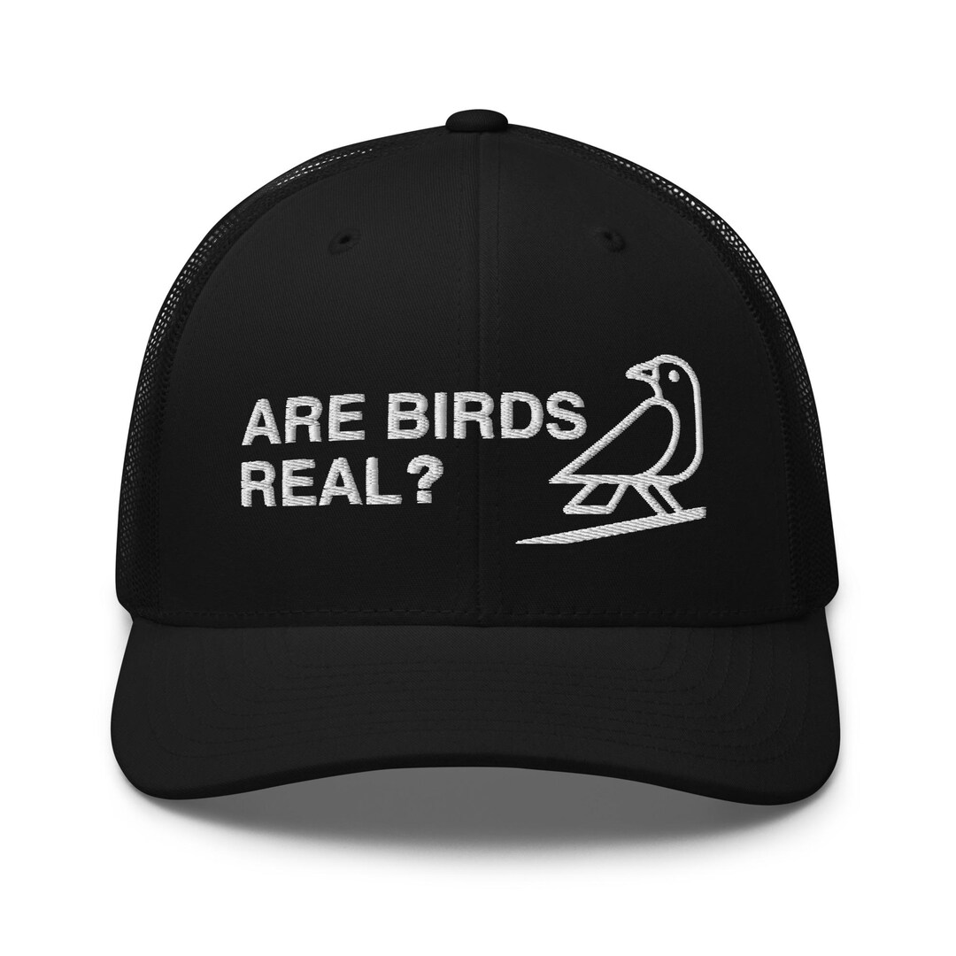Conversation Starter Trucker Cap - Are BIRDS REAL HAT ? - Etsy