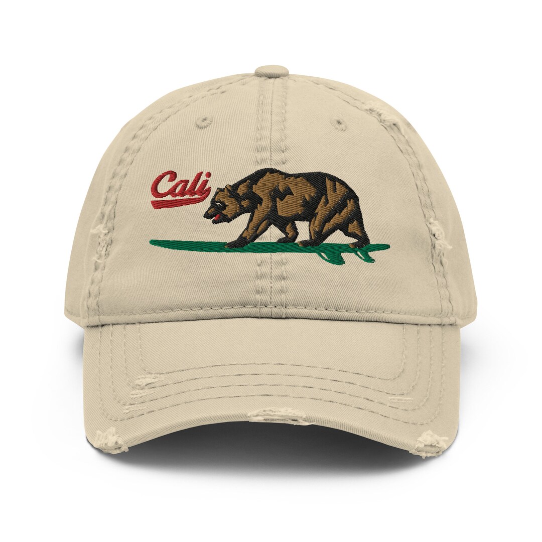 California Grizzly Bear Ursus Arctos Californicus Cali Brown Bear on a ...