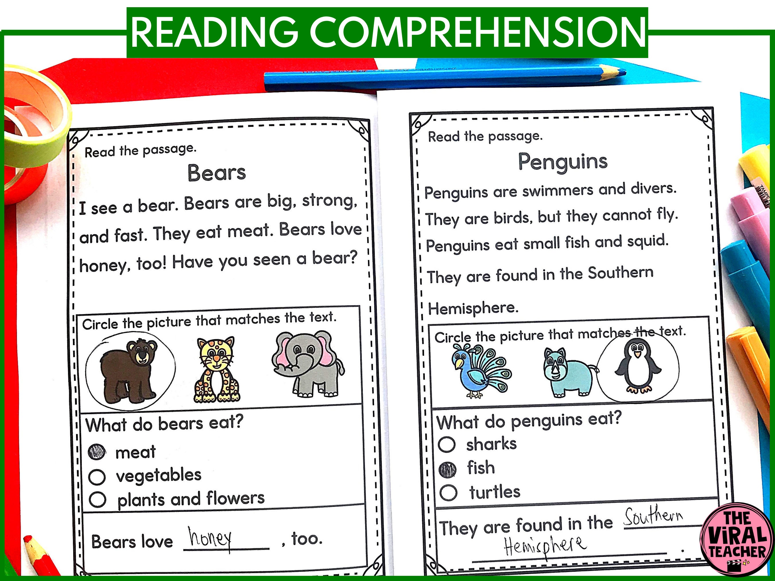 Animal Themed Reading Comprehension Passages and Questions Booklets ...
