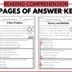 Reading Comprehension Short Stories , Storytime Reading Worksheets, 1st ...
