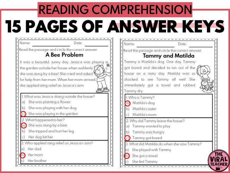Reading Comprehension Short Stories , Storytime Reading Worksheets, 1st ...