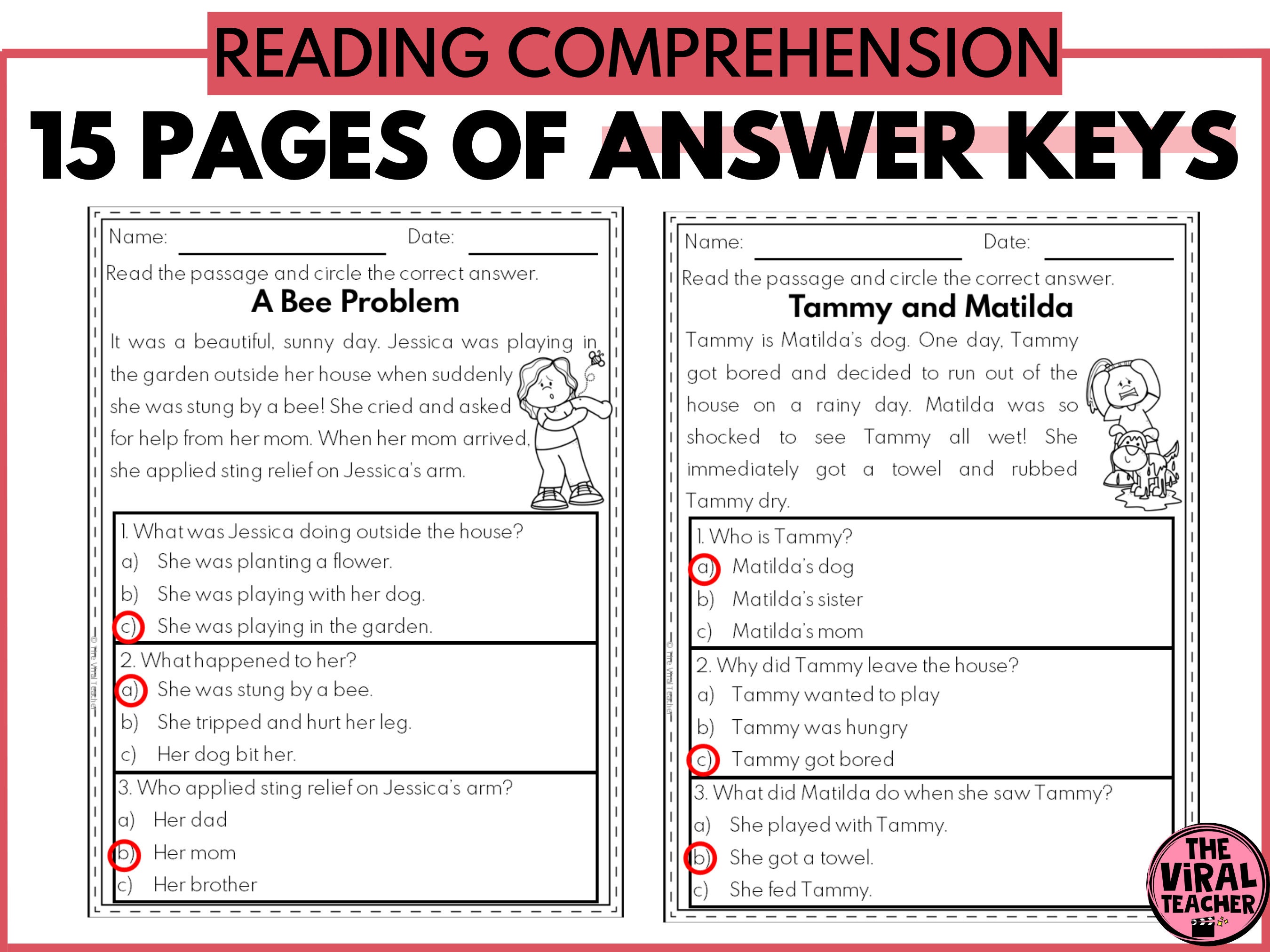Reading Comprehension Short Stories , Storytime Reading Worksheets, 1st ...