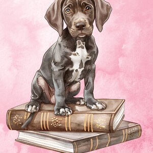 Watercolor Classroom Decor Reading Classroom and Library Bulletin ...